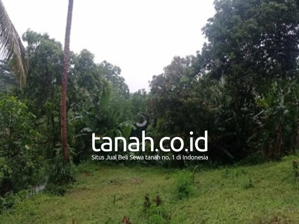 Jual Beli Sewa – Tanah